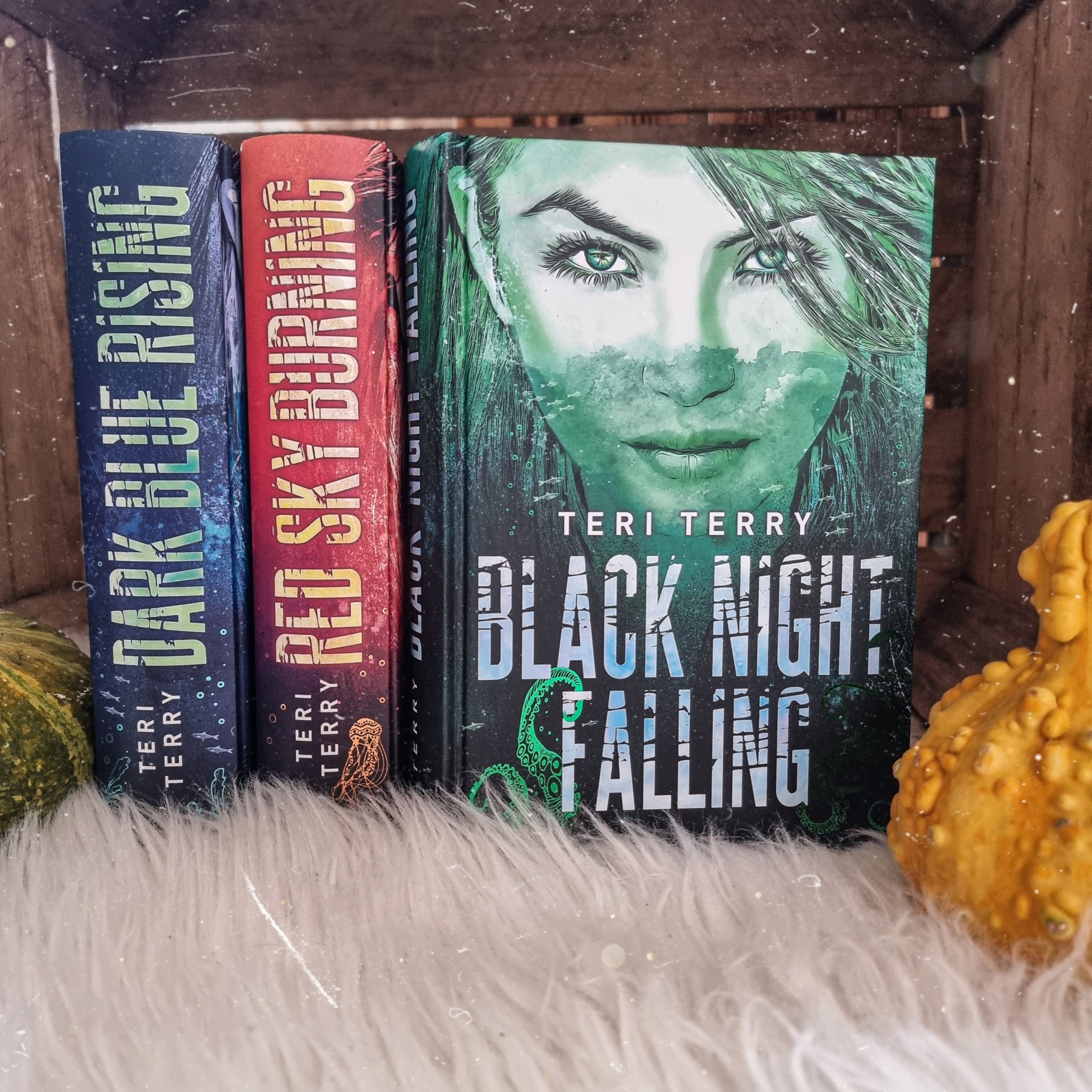 Black Night Falling - Teri Terry - Seductive Books